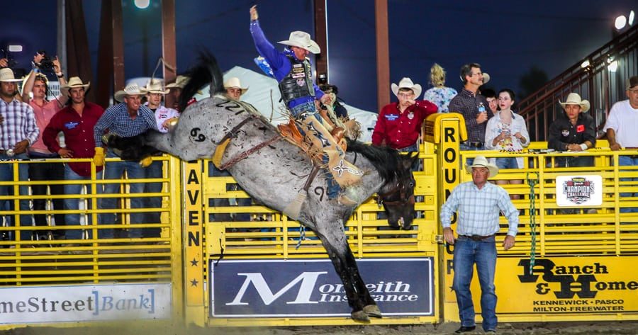 Benton Franklin Fair & Rodeo brings the fun in August | Tri-Cities Area ...