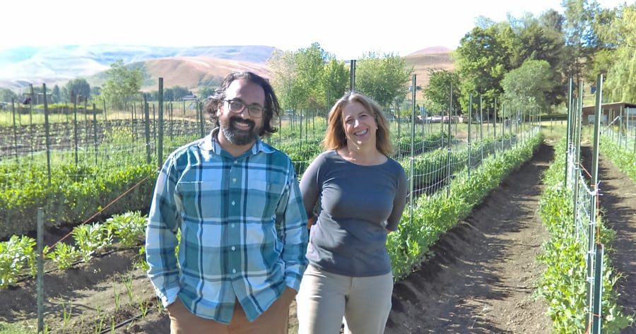 Prosser Farm supplies fresh produce to Seattle-area foodies | Tri ...