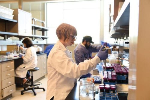 WSU Tri-Cities program recognized as a Career Connect program | Tri ...