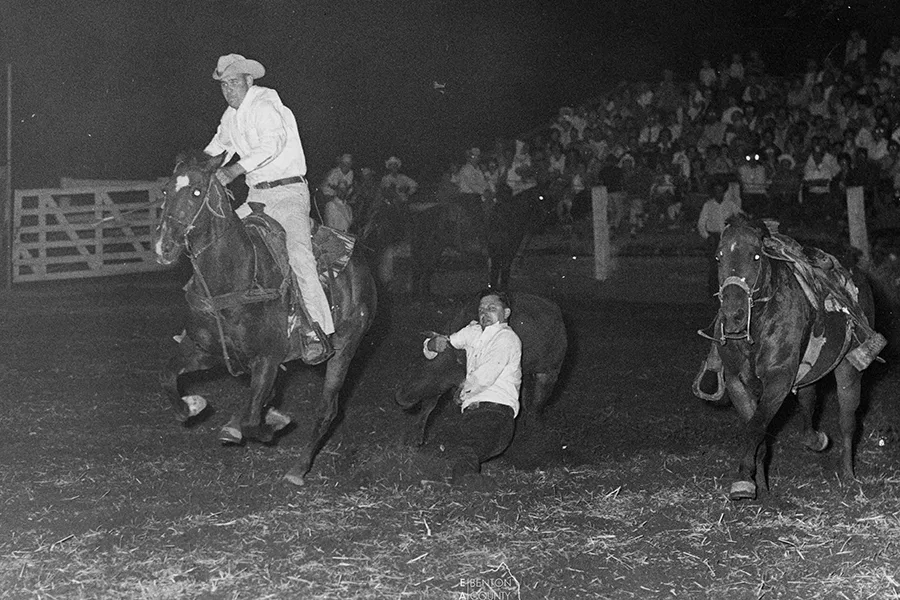 Let’s giddyup to celebrate 75 years of fair rodeos | Tri-Cities Area ...