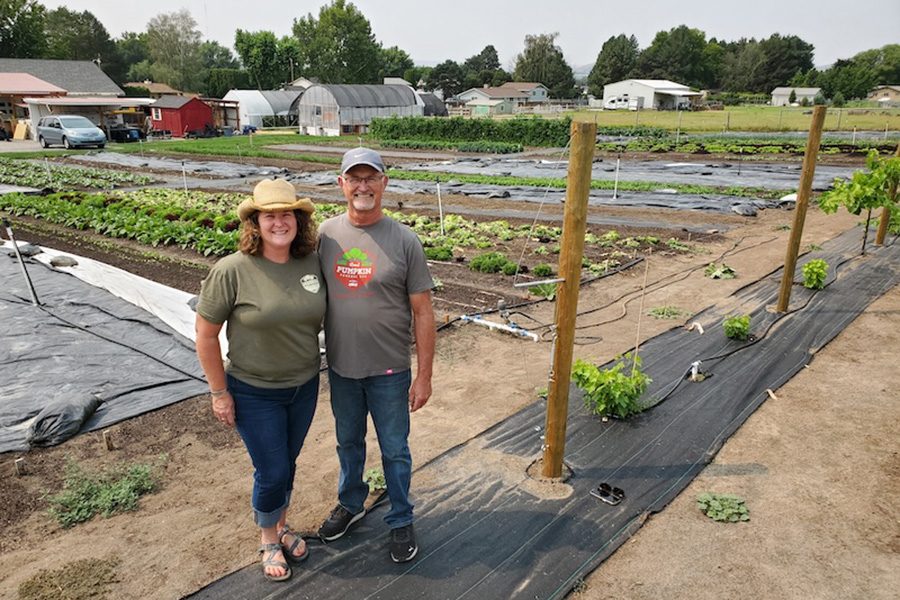 Pasco’s Local Pumpkin showcases bounty of one-acre farm | Tri-Cities ...